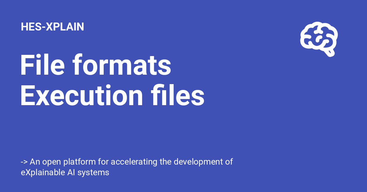 File formats Execution files - HES-XPLAIN